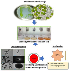 R&D Outputs | CSIR - National Institute For Interdisciplinary Science and Technology (NIIST)